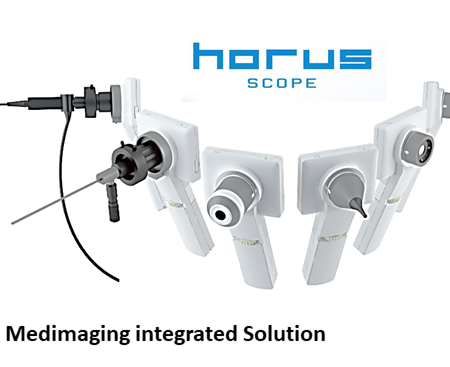 Health & Medical | TGN - Taiwan Globalization Network